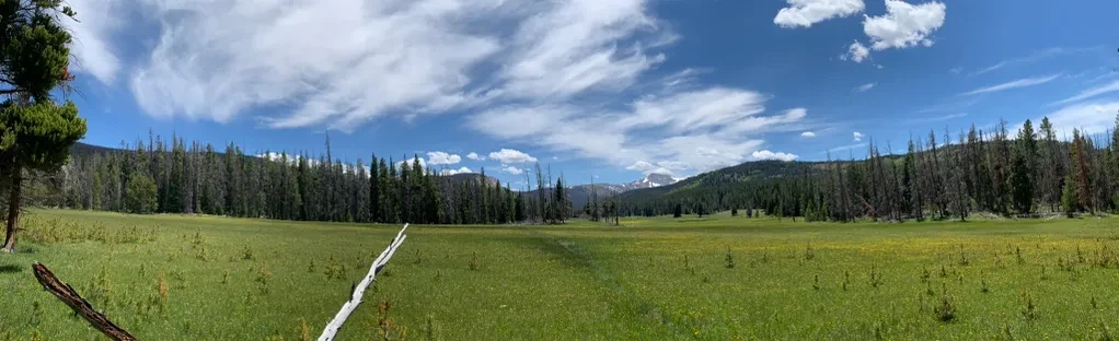 GUIDED LLAMA EXCURSIONS | Wasatchfrontllamas