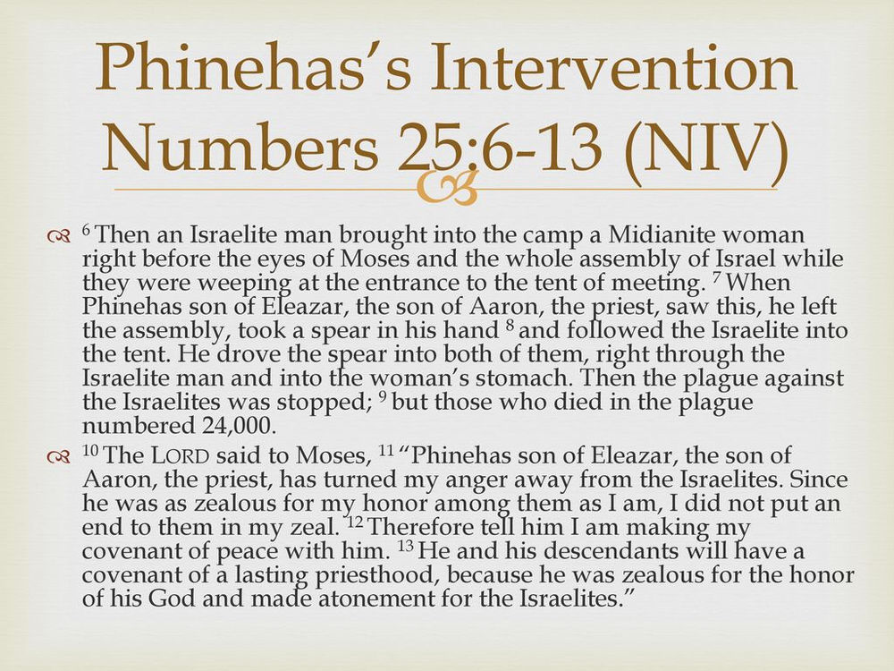 THOUGHTS ON THE"PHINEAS PRIESTHOOD"