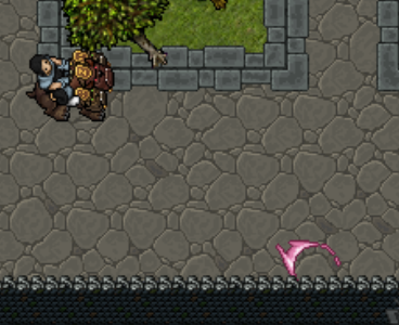 Measuring Tibia Quest