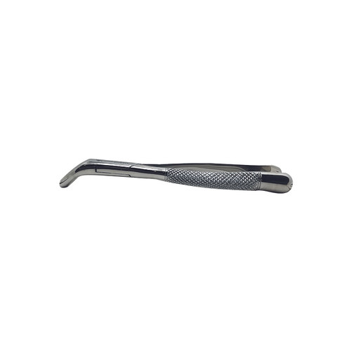 FORCEP No. 17 | TuttiDental