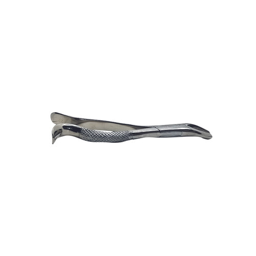 FORCEP No. 18 R | TuttiDental