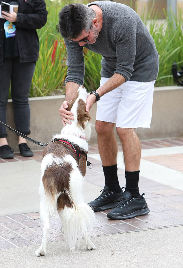 Simon Cowell met a dog on his way to America's Got Talent auditions ...