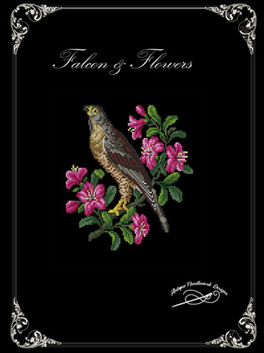 Falcon & Flowers | Anwdesigns