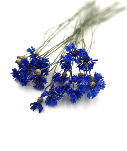 Dried Cornflowers qty30 | Mysite