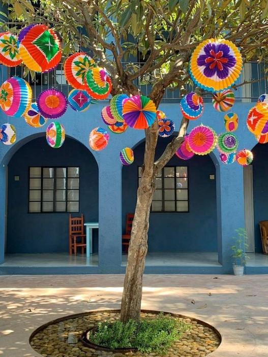 Homestays & Delightful Accommodation | Instituto Cultural Oaxaca