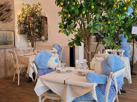 Elenis Divine Greek Cuisine Restaurant | Horeca Nyc