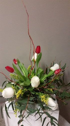 Tulip Trumpet | tildy-floral-designs