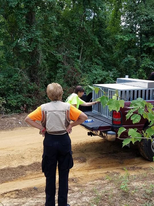 CUE | Search Resources