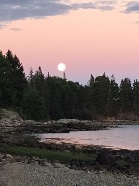 Brooklin Maine | themainehideaway