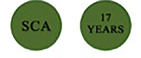 17 Year Chip | scany