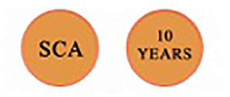 10 Year Chip | scany