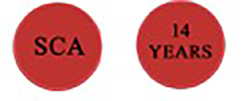 14 Year Chip | scany