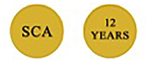 12 Year Chip | scany