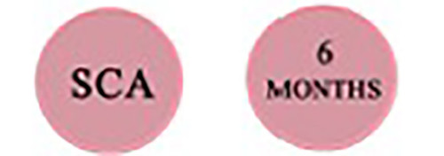 6 Month Chip | scany