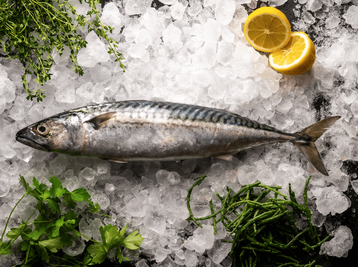 Mackerel Whole Wild 350-400g - Fresh