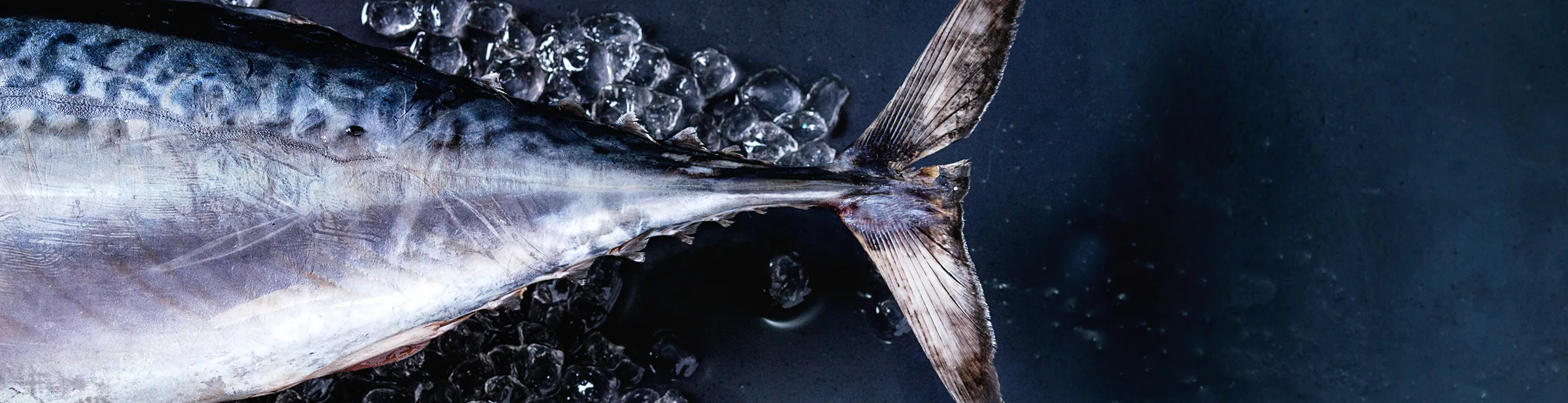 Premier Fish - your seafood wholesaler for chefs & home delivery