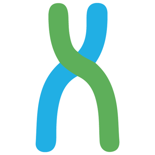 CoGenesis® 基因檢測 | Codex Genetics