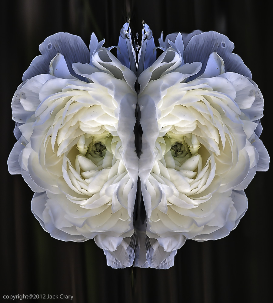 Jack Crary Photography