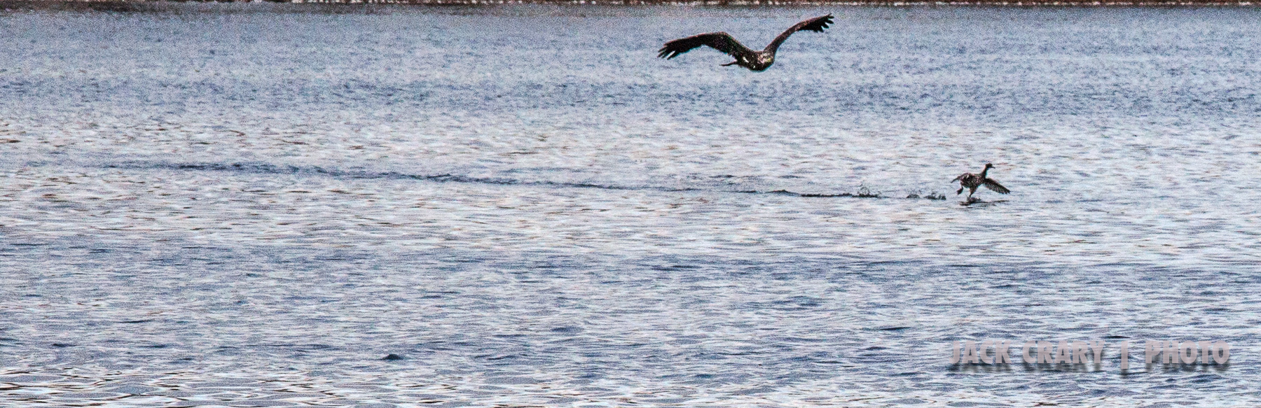 Jack Crary Photography