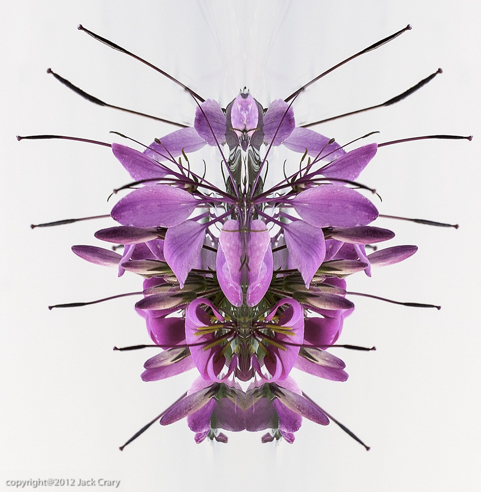 Jack Crary Photography