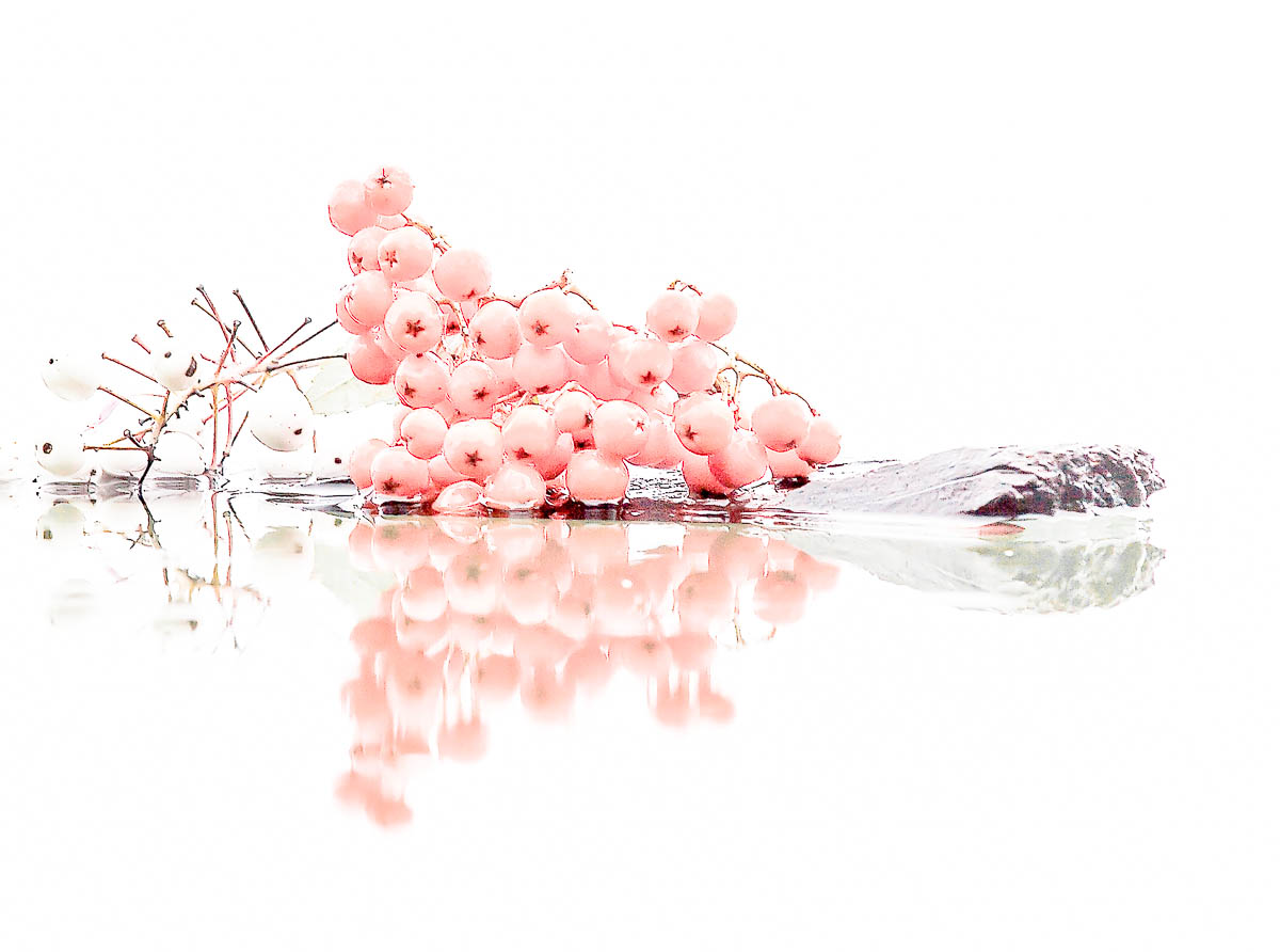 Jack Crary Photography