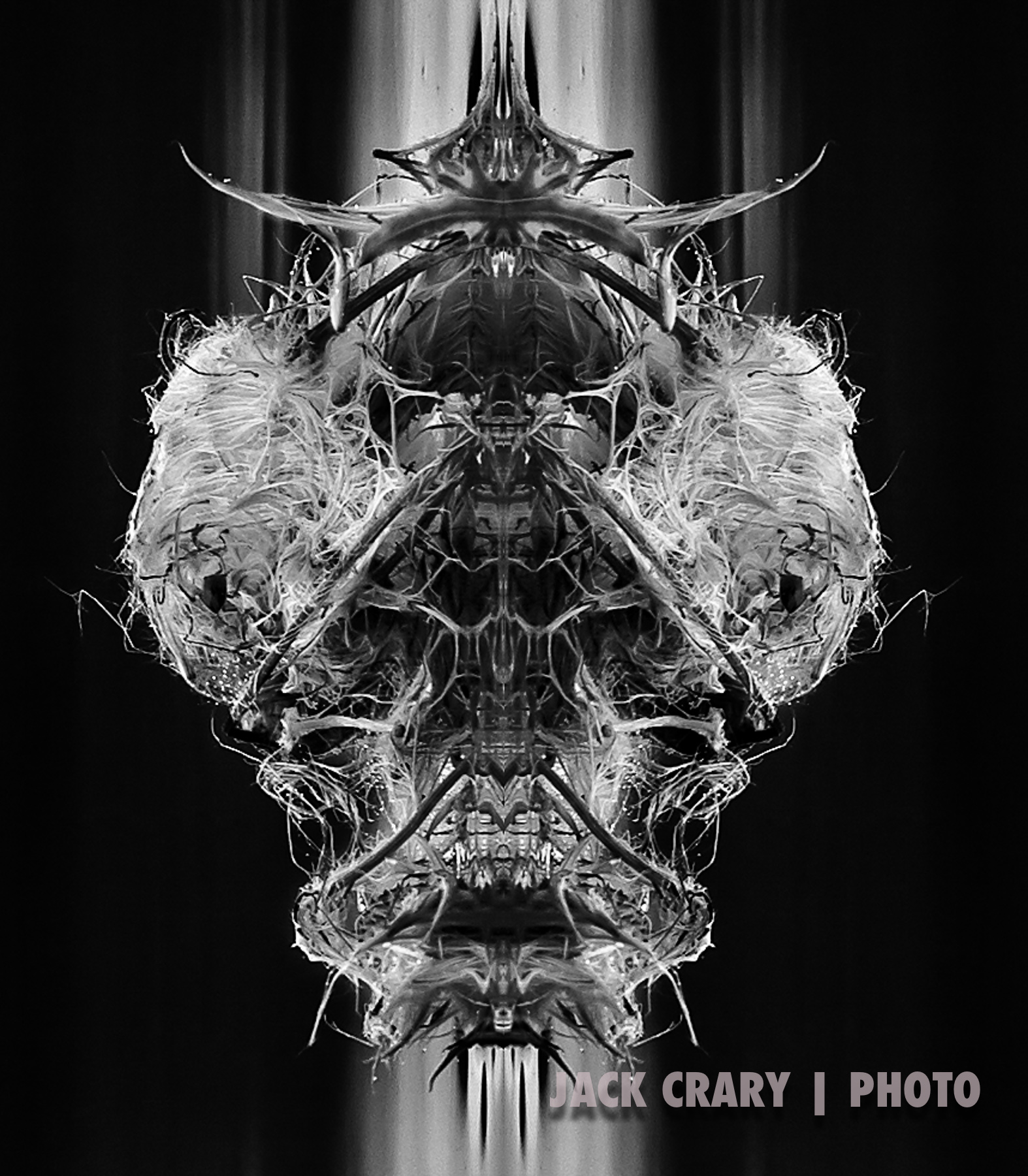 Jack Crary Photography