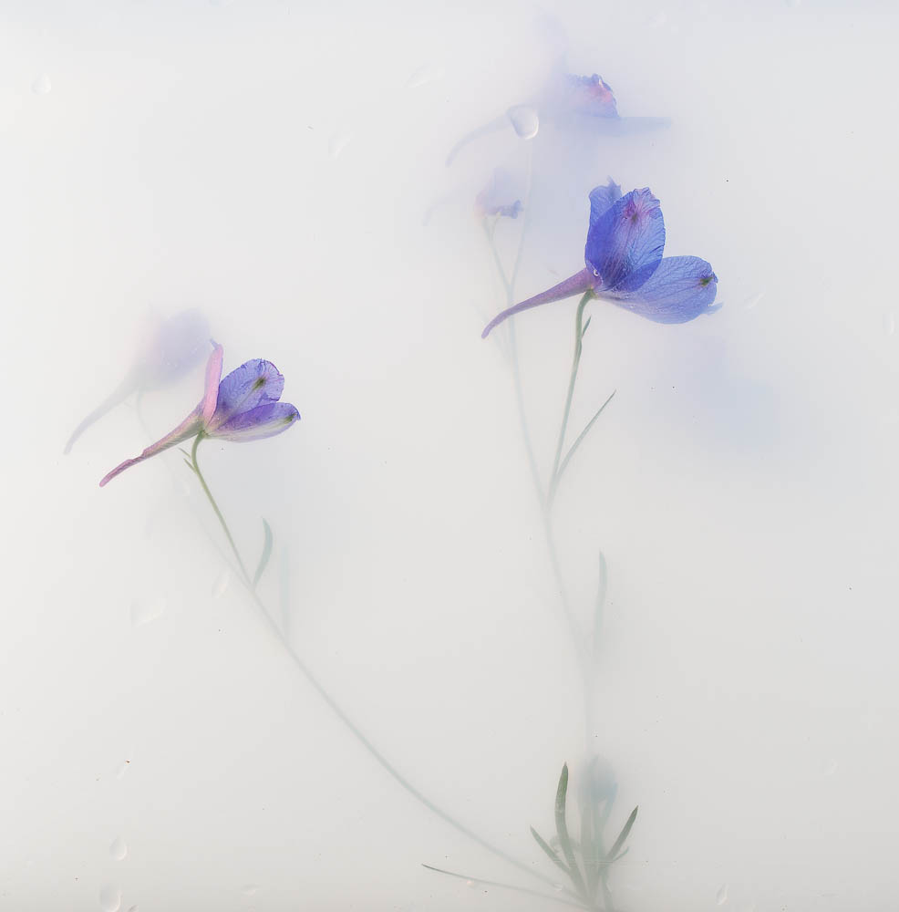 Jack Crary Photography