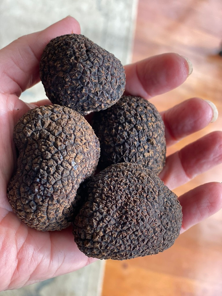 Storing your fresh Truffles