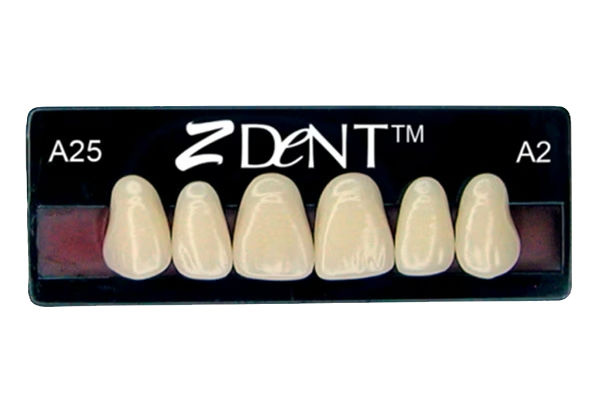 Z Dent Two-Layer Acrylic Teeth | Royal Dental