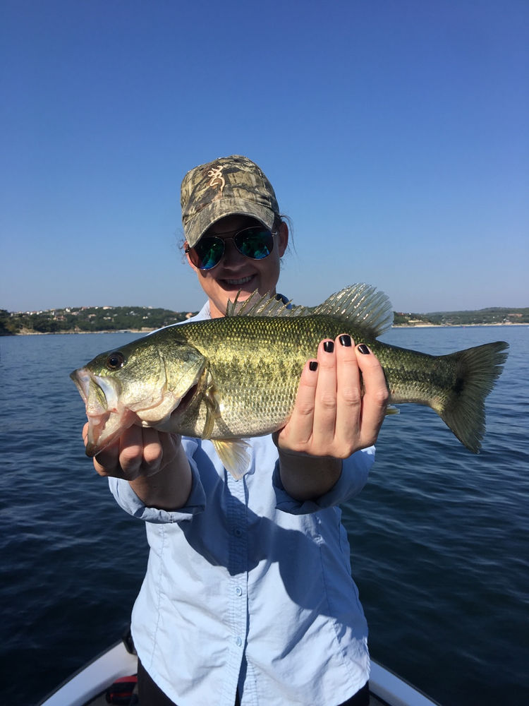 Lake Travis Bass Fishing Report- 10/10/19