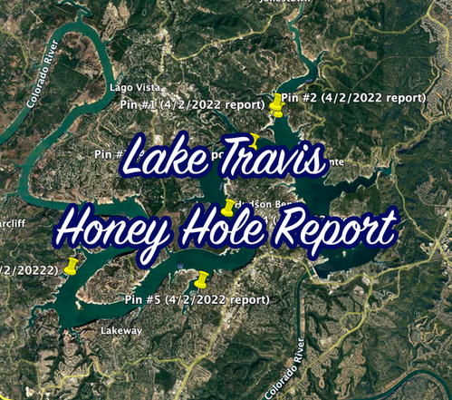November 6, 2025 - Lake Travis Honey Hole Report | Austin Fishing Guide