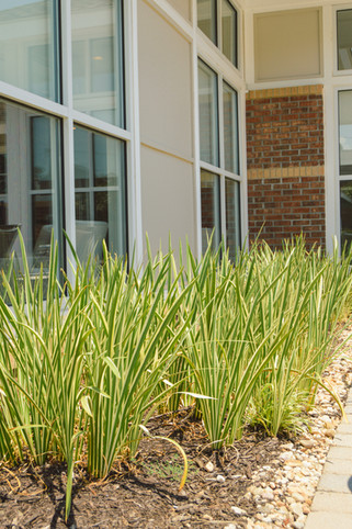 Photo Gallery | Town Scapes Commercial Landscaping