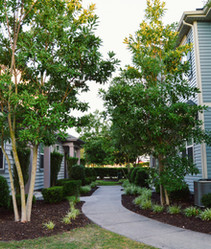 Home | Town Scapes Commercial Landscaping