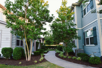 Photo Gallery | Town Scapes Commercial Landscaping
