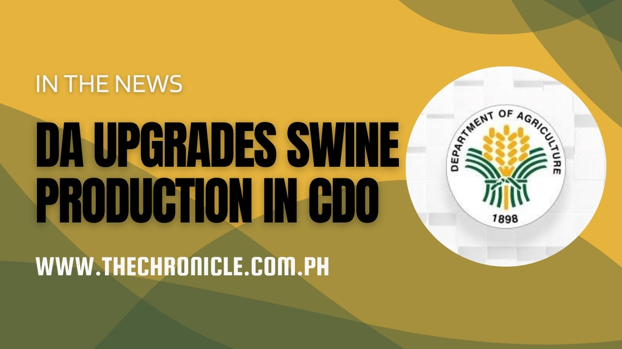 DA upgrades swine production in CDO