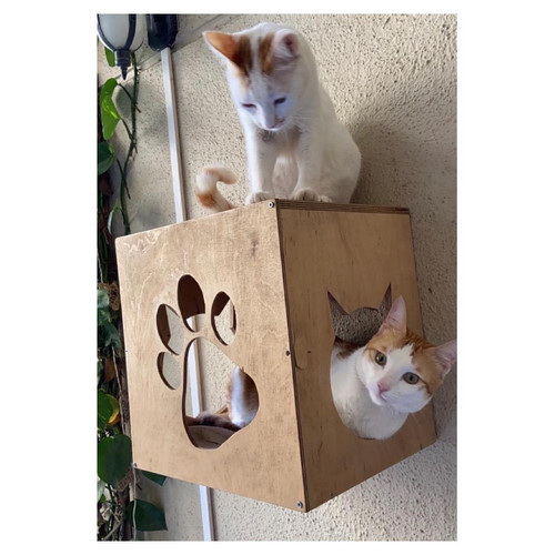 Cat Box Wall Mount Paw Window | Chota Pakoda