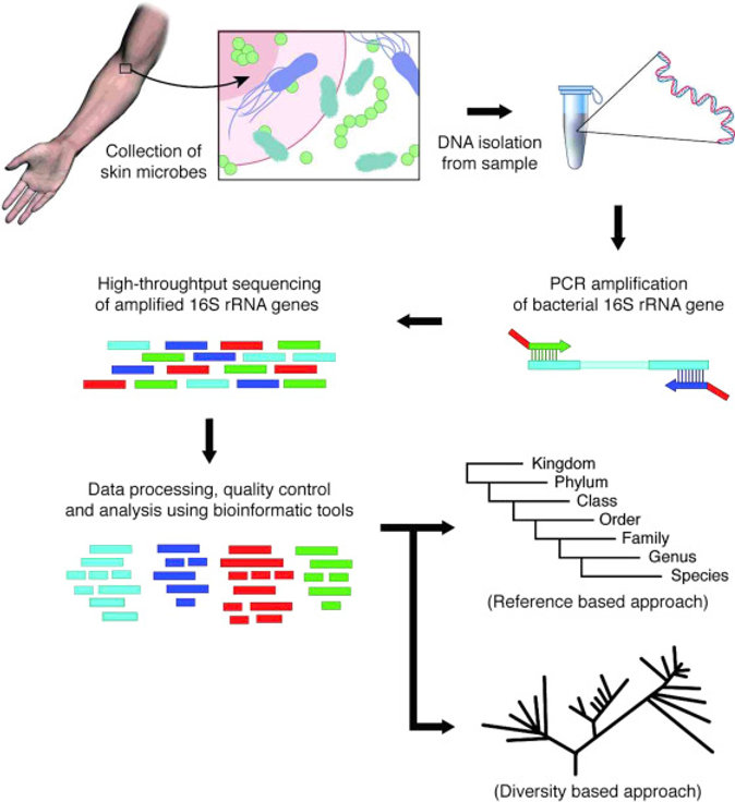 NGS의 활용 분야 (I) DNA-seq