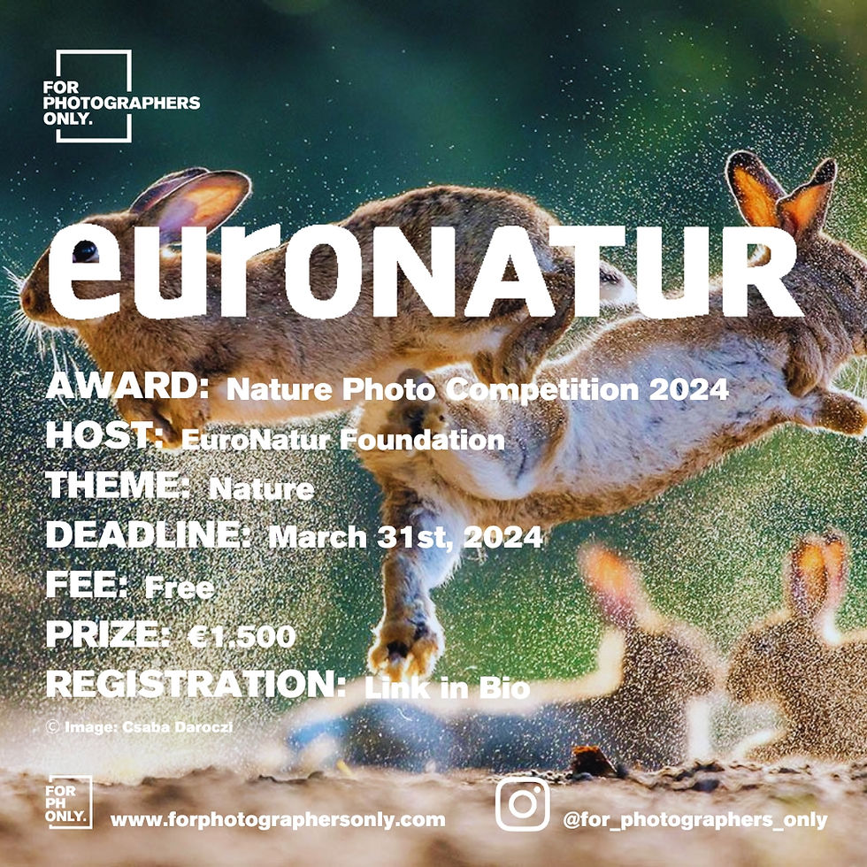 Euronatur International Nature Photo Contest