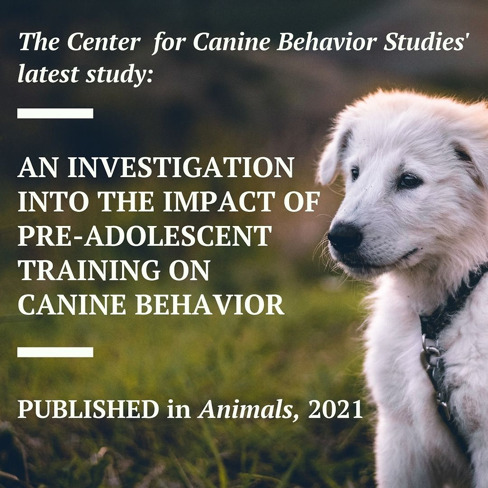 SIMPLIFIED: The Puppy Training Study