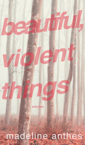 beautiful, violent things | word west | books