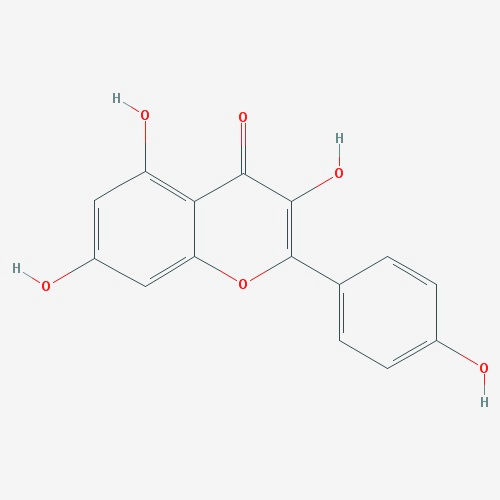 63 Kaempferol Rich Foods (Ranked) | Hydration Monitoring - Intake ...