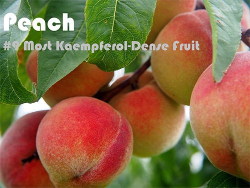 63 Kaempferol Rich Foods (Ranked) | Hydration Monitoring - Intake ...