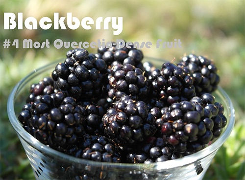 93 Quercetin Rich Foods Ranked by Quercetin Density | Hydration ...