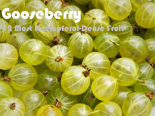 63 Kaempferol Rich Foods (Ranked) | Hydration Monitoring - Intake ...