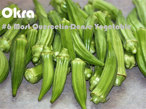 93 Quercetin Rich Foods Ranked by Quercetin Density | Hydration ...