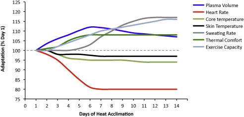 The Most Important Time to Focus on Heat and Hydration | Hydration ...