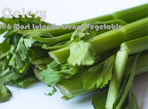 37 Luteolin Rich Foods Ranked by Luteolin Density | Hydration ...