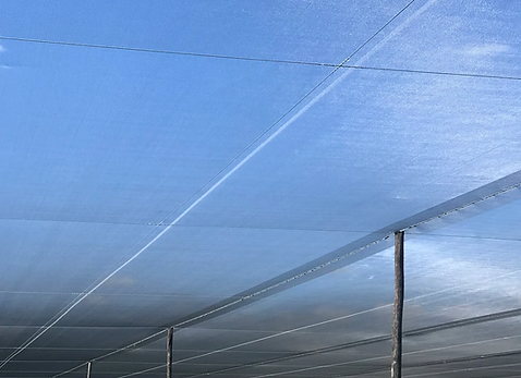 Hail Protection | Protec Plus
