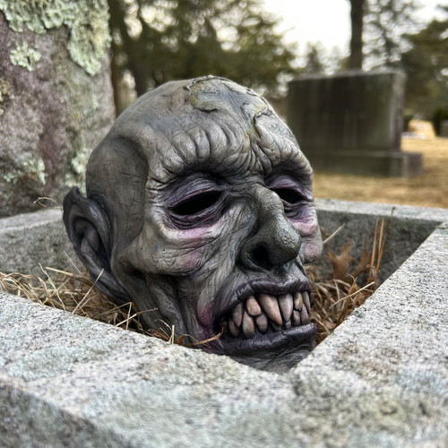 Mummified Head of the Master Vampire | Trophy Vampire Head