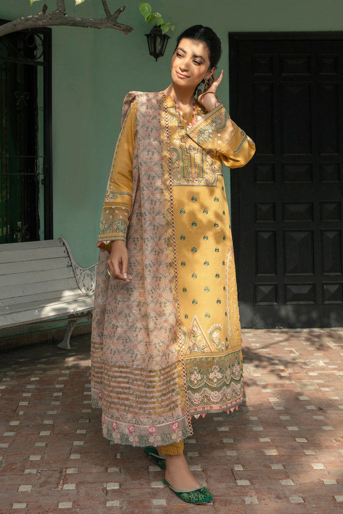Mushi Designers | Pakistani Suits in India